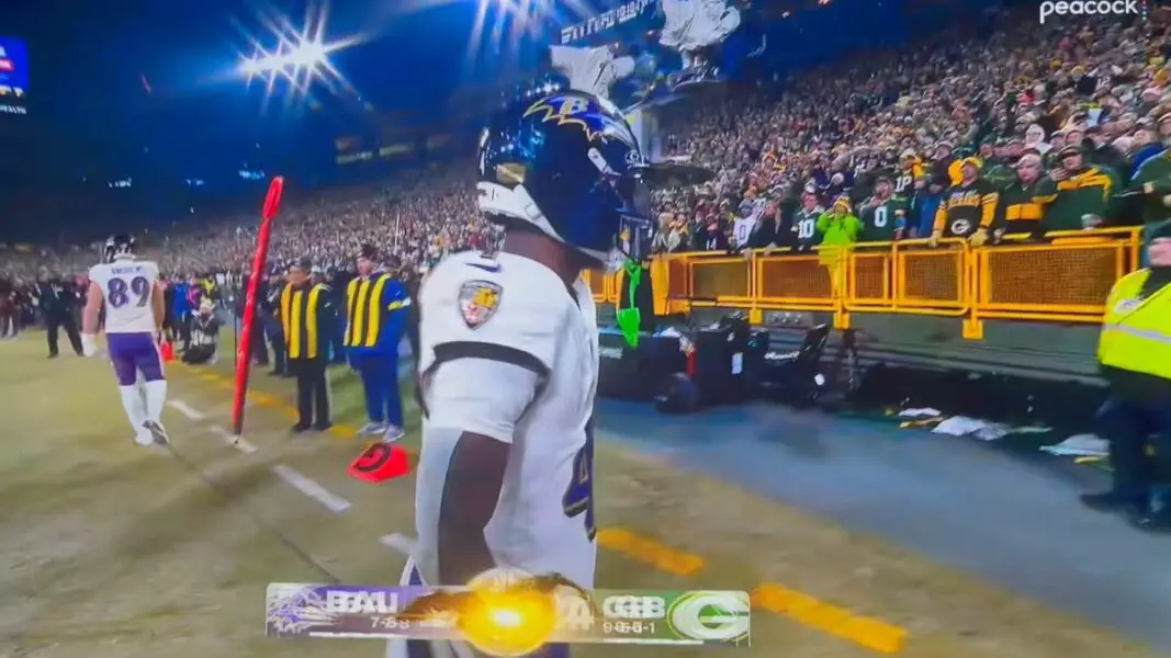 "Get Out Of Here" Packers Fan Shoves Ravens' WR Out Of Stands After ...